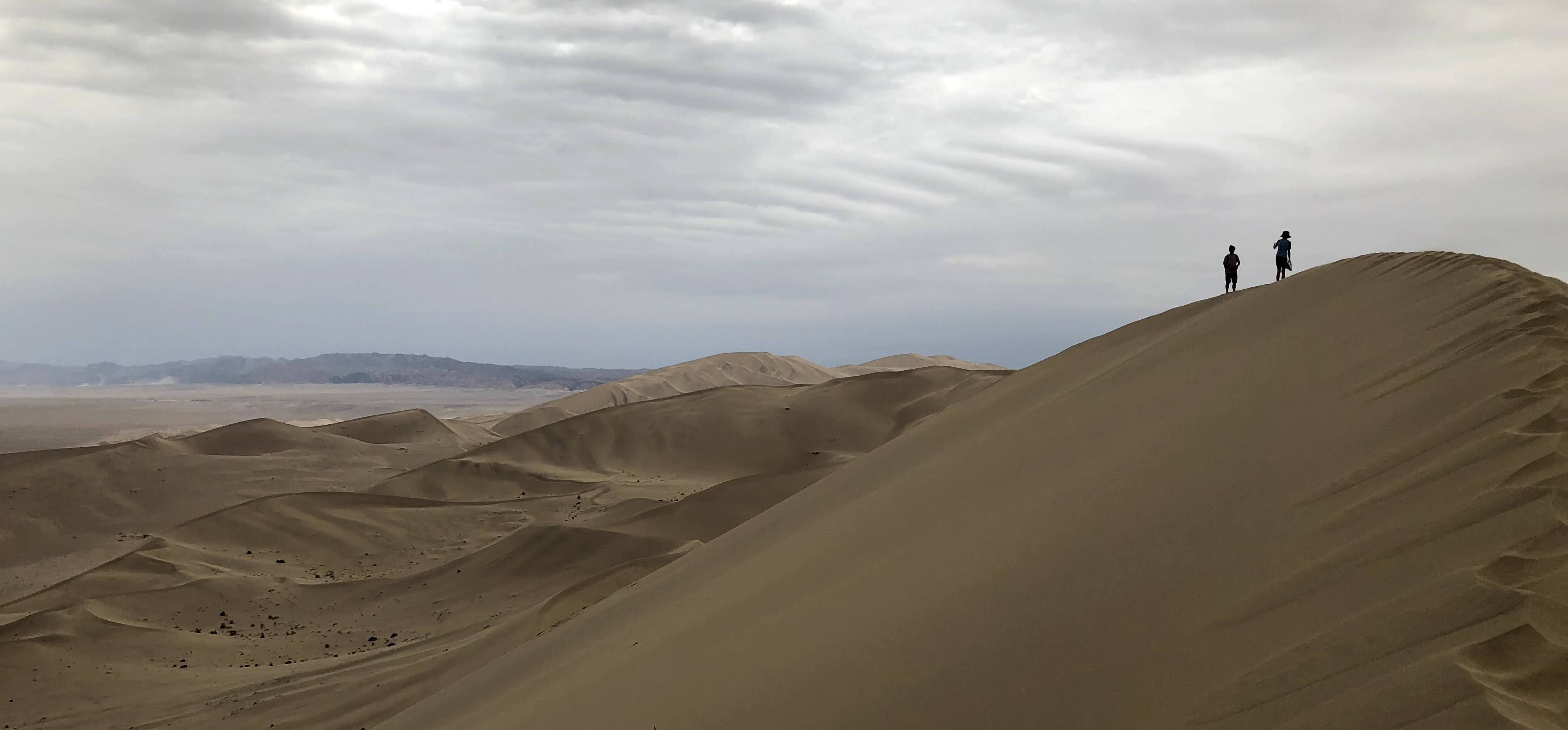 Research – Lily N. Zhang